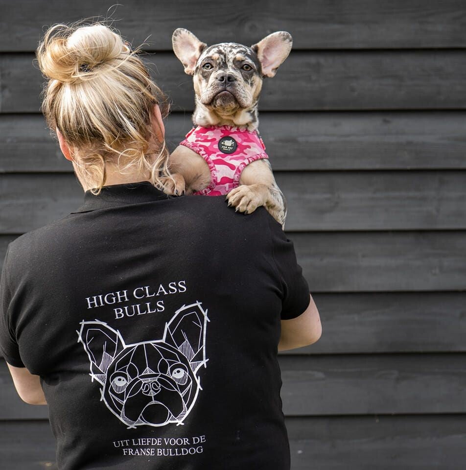 Steffy / Ons team | HighClass Bulls NL