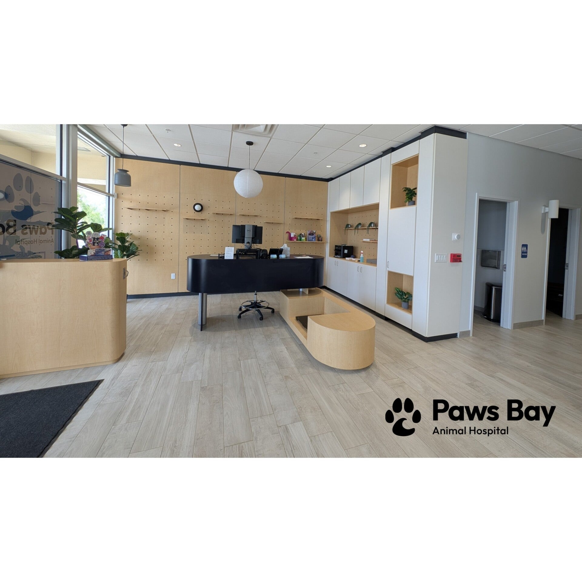 Veterinarian in Oldsmar FL | Same Day Pet Care | Paws Bay Animal Hopsital