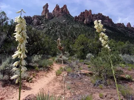 Eagle Crags | Amerika best