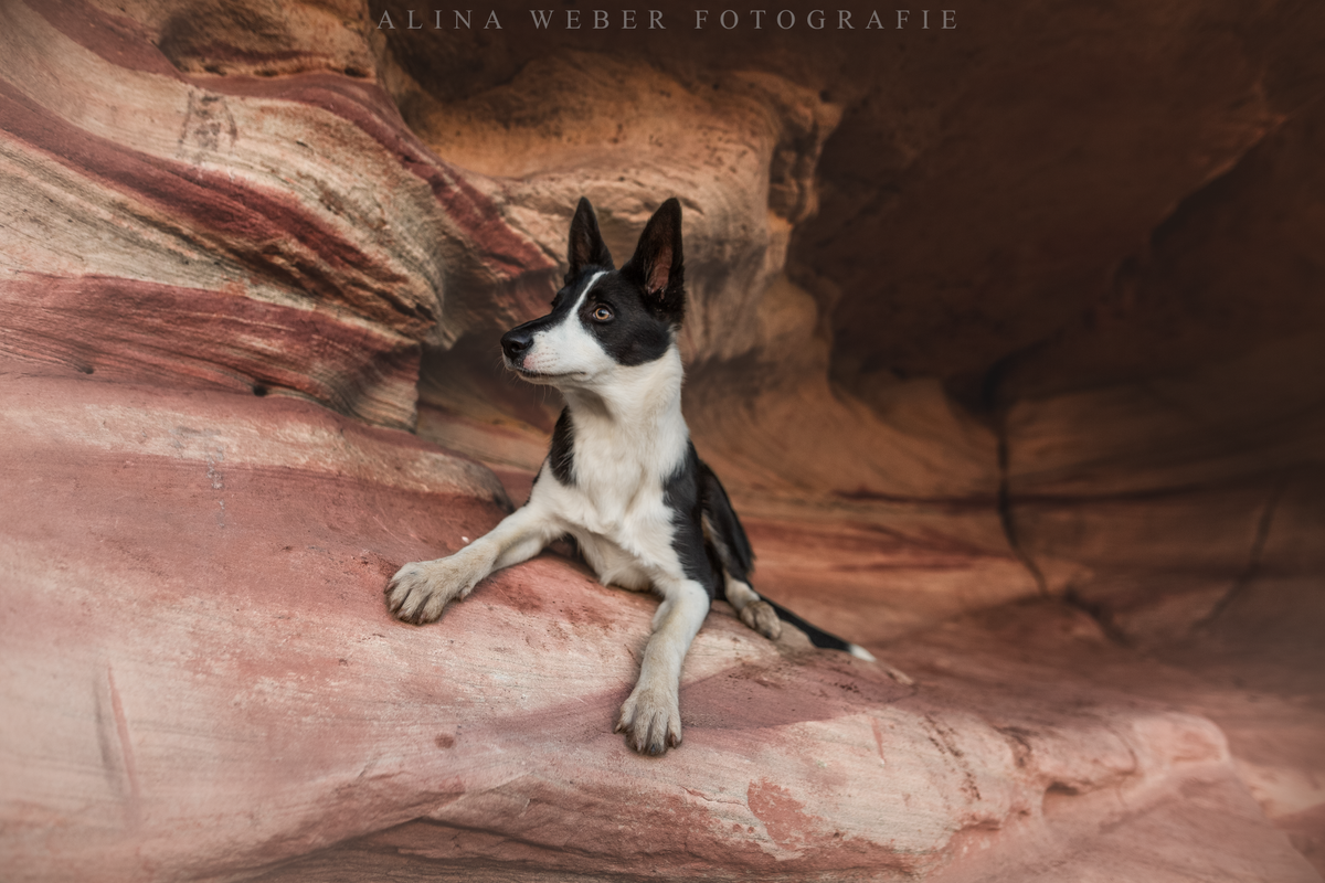 PortfolioDays & Workshops | Alina Weber Fotografie