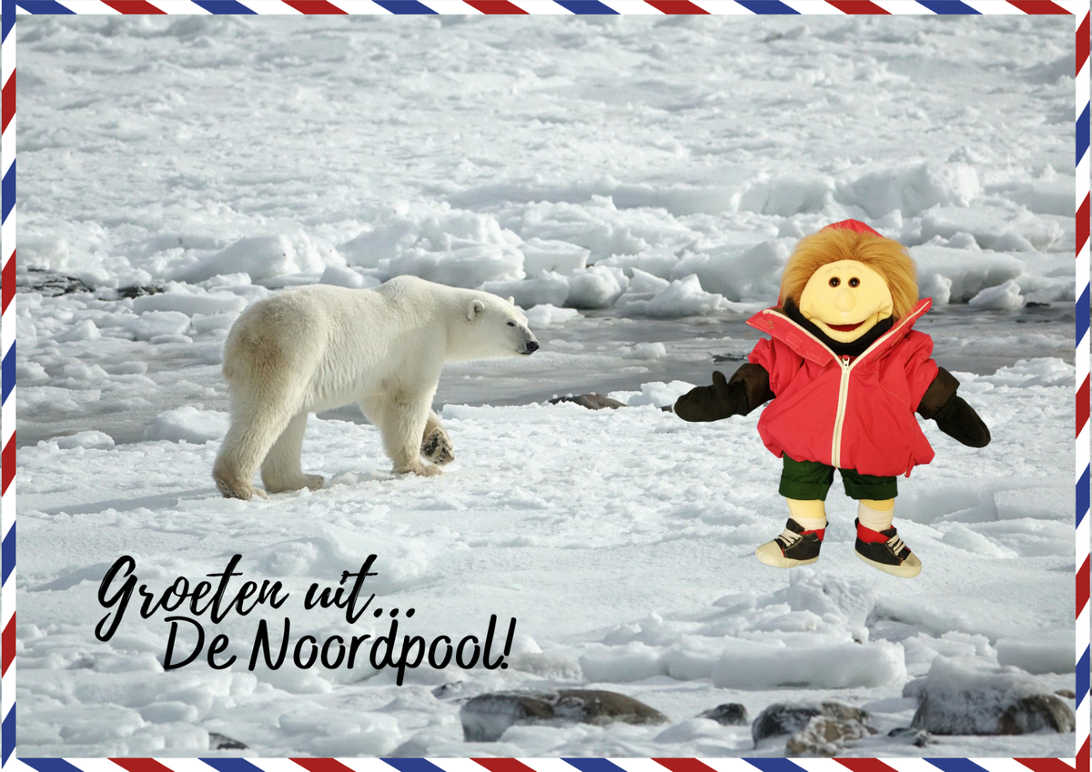 Thema uitwerking Noordpool Zuidpool