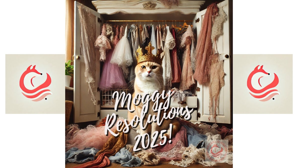 Cat Resolutions for 2025 / Blog | A Breed Apart