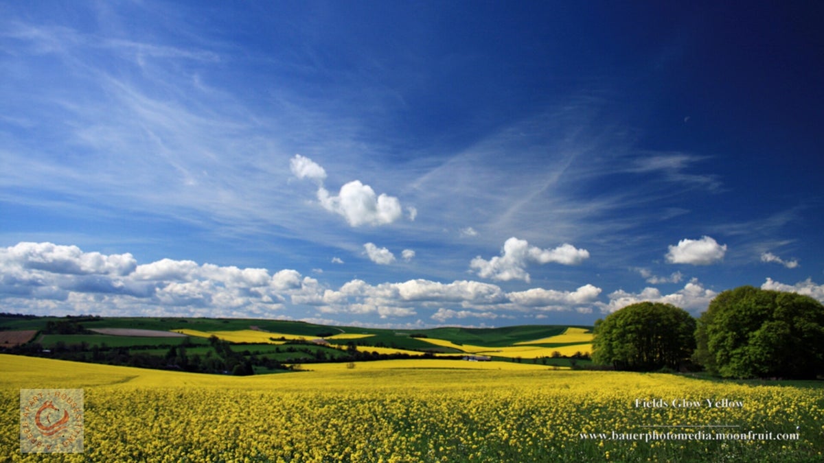 Staying Safe in the Countryside: Personal Security Tips for Rural ...