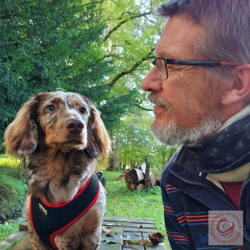 Understanding Dog Behaviour: Signs Your Pet Needs Support / Blog | A ...