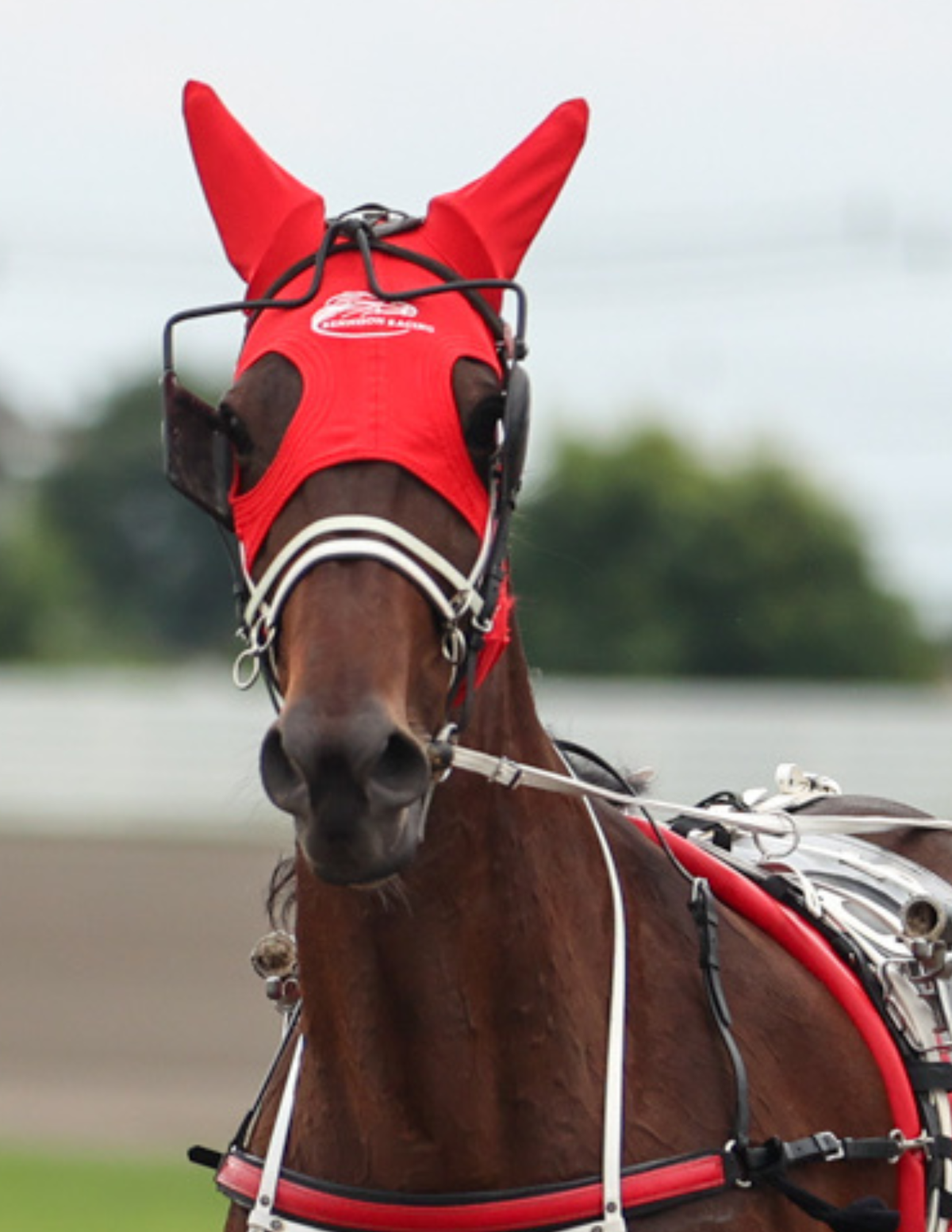 Stable | Rennison Racing