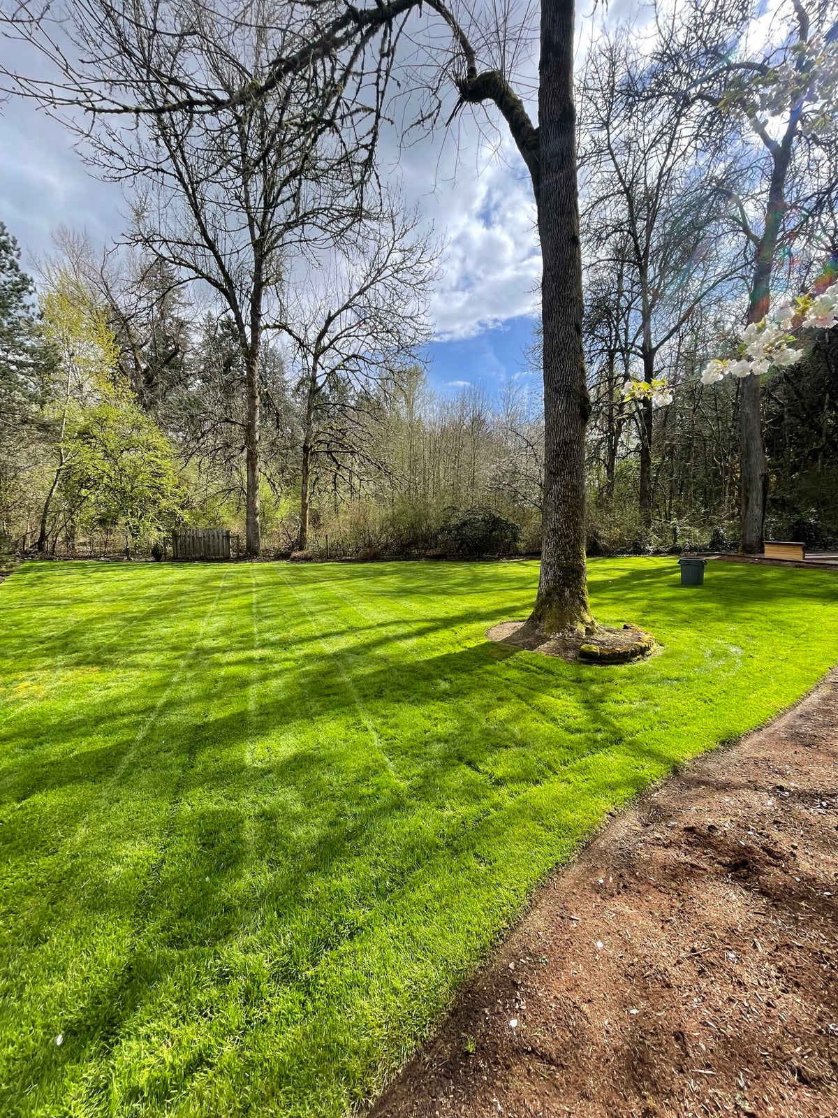 B&W Landscape and Hardscape LLC