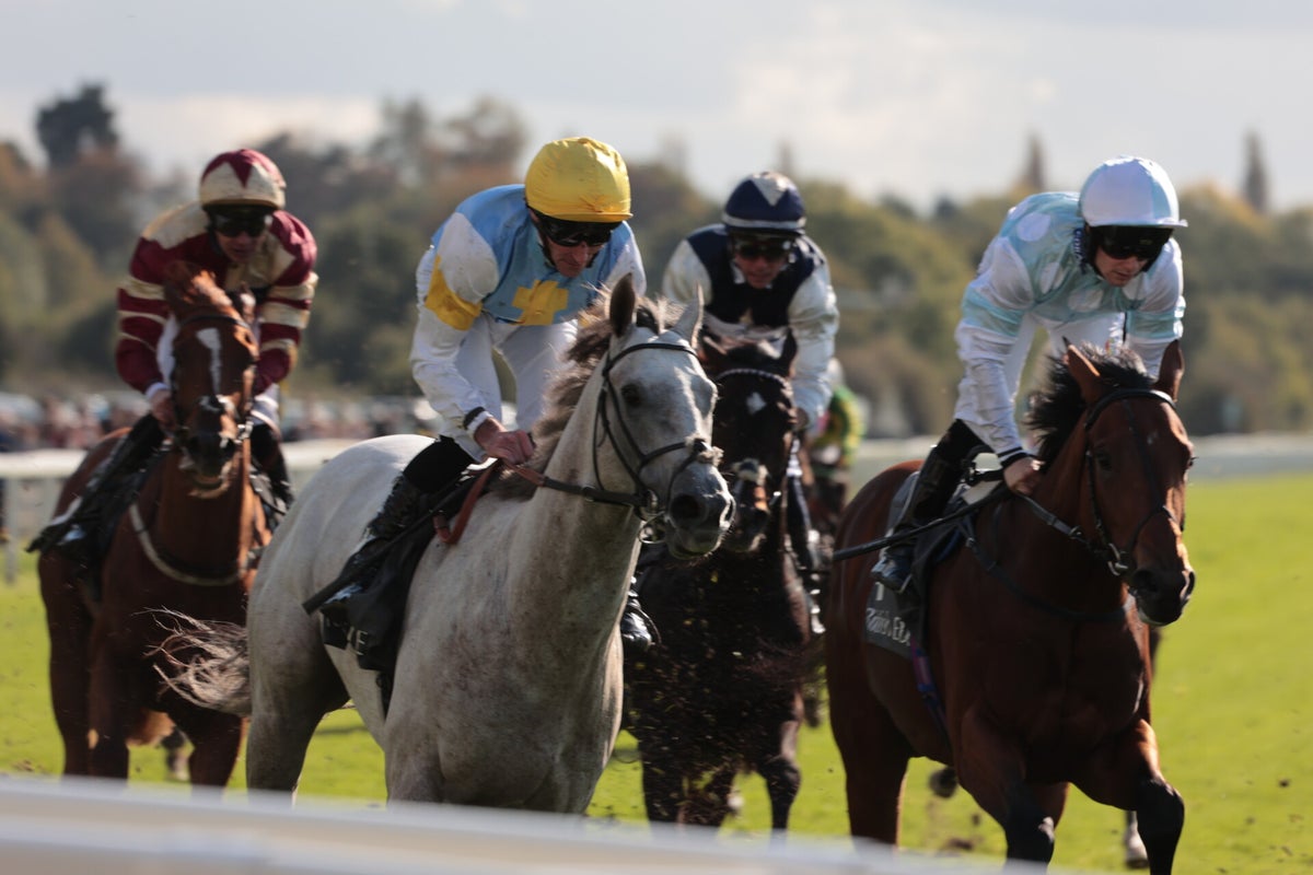 York Races, October 2024 / York Races, 2024 Season / 2024 Galleries ...