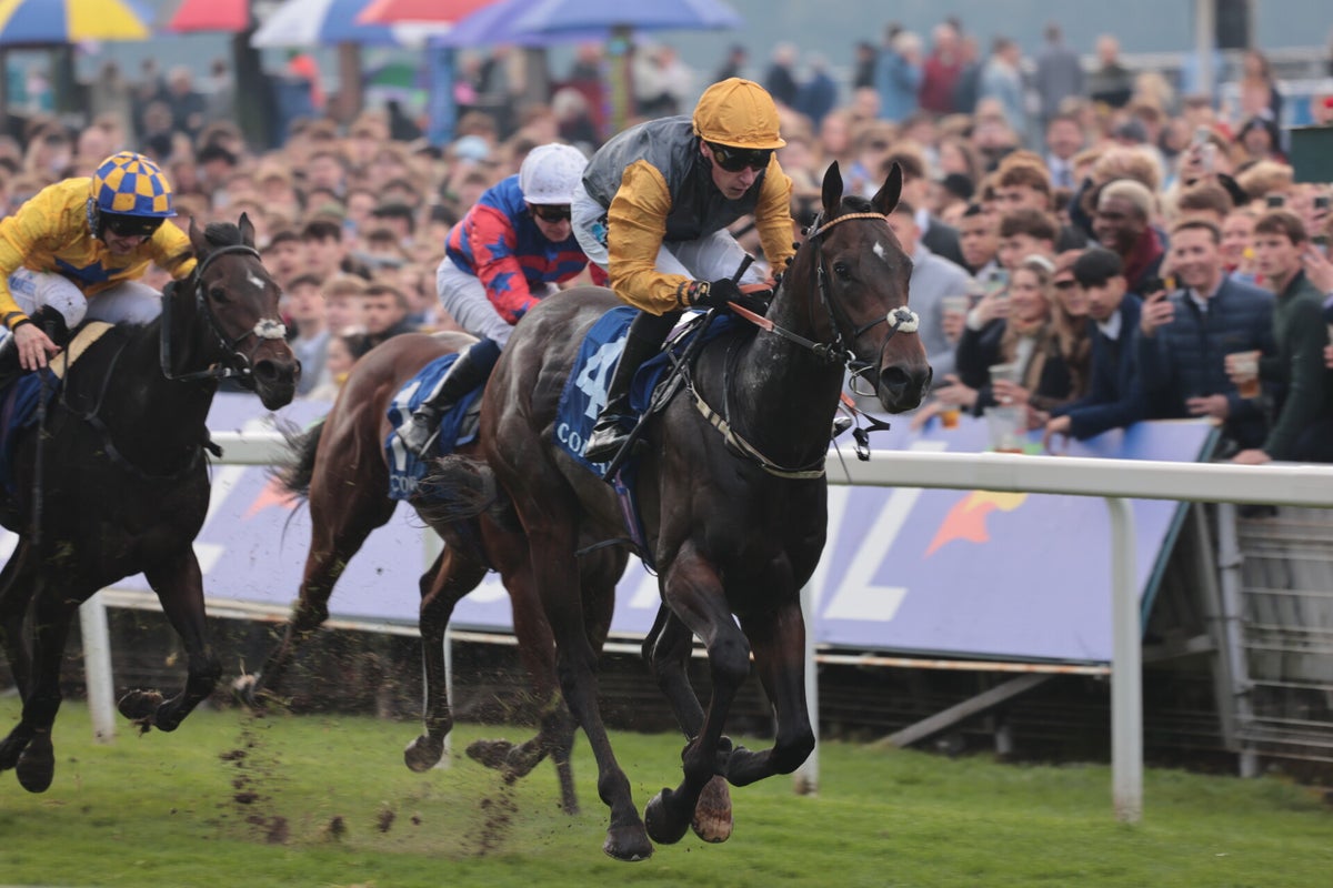 York Races, October 2024 / York Races, 2024 Season / 2024 Galleries ...