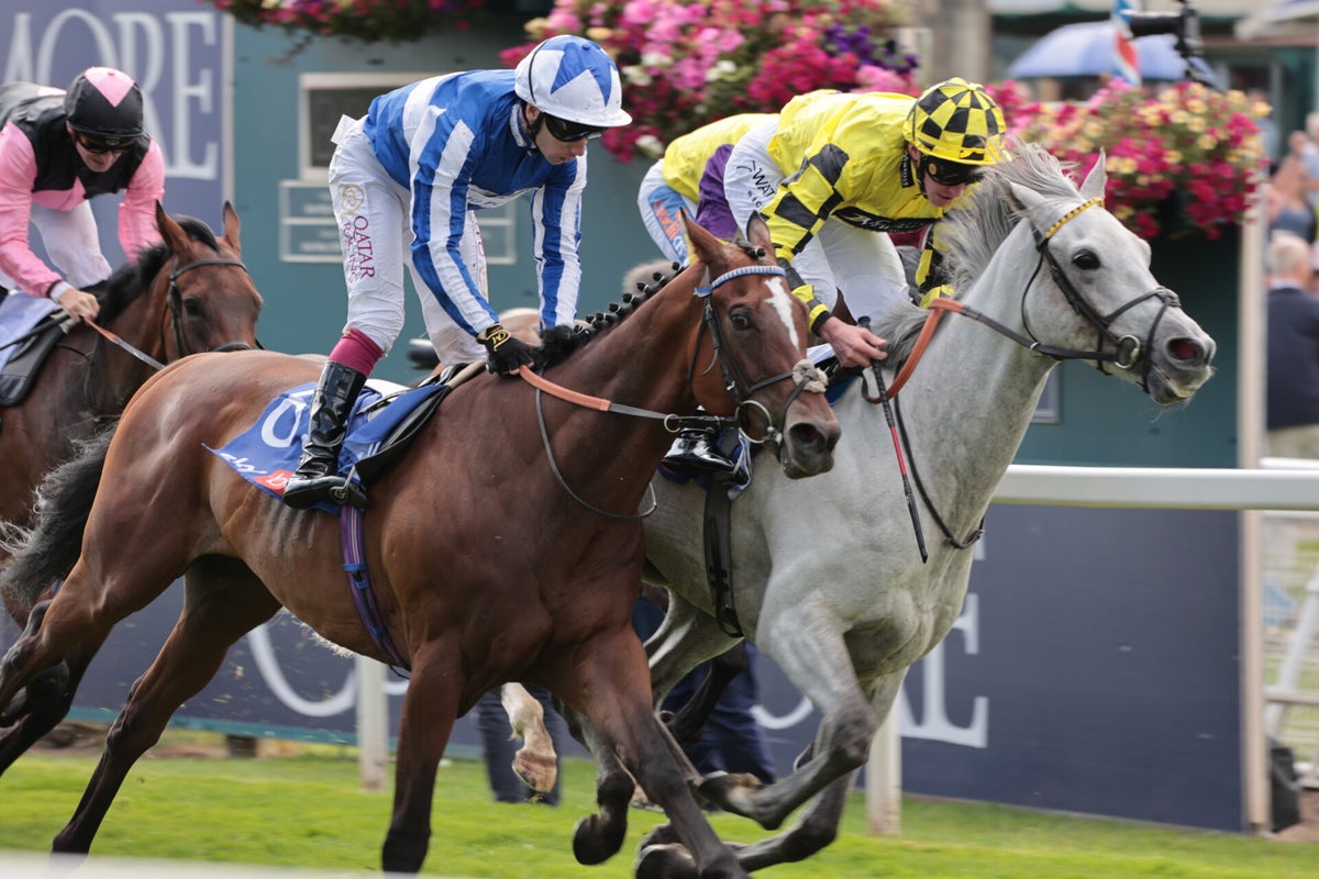 York Races, August 2024 / York Races, 2024 Season / 2024 Galleries ...