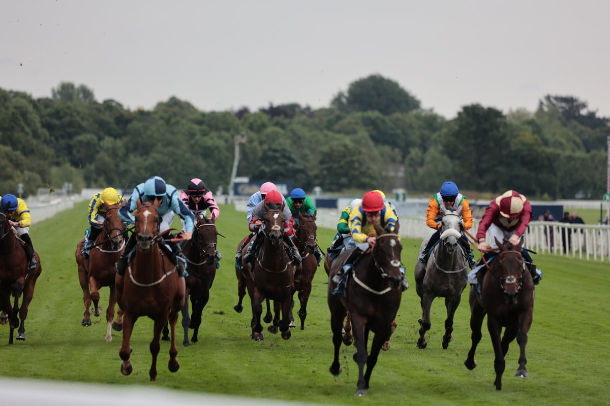 York Races, July 2024 / York Races, 2024 Season / 2024 Galleries / 2023 ...