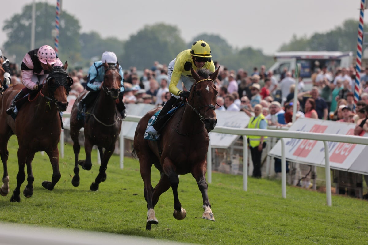 York Races, May 2024 / York Races, 2024 Season / 2024 Galleries / 2023 ...