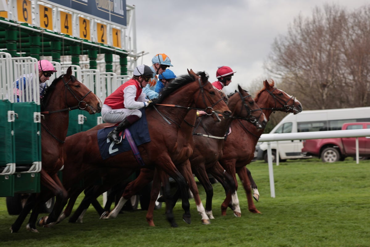 Doncaster Races, March 2024 / 2024 Galleries / 2023 Galleries / Archive ...