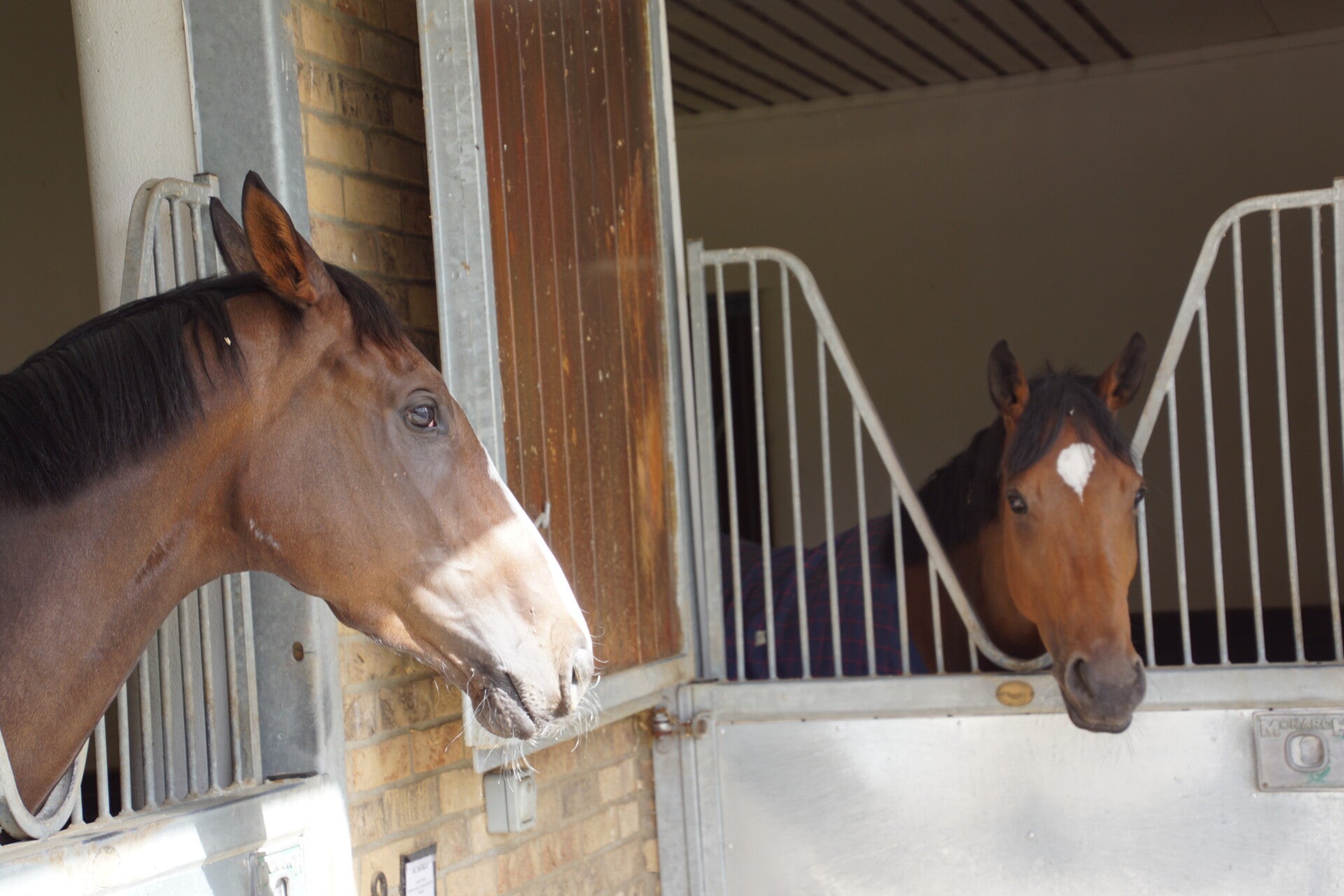 Ed & Simon Crisford Stable / Newmarket Open Weekend 2022 / 2022 Stable ...