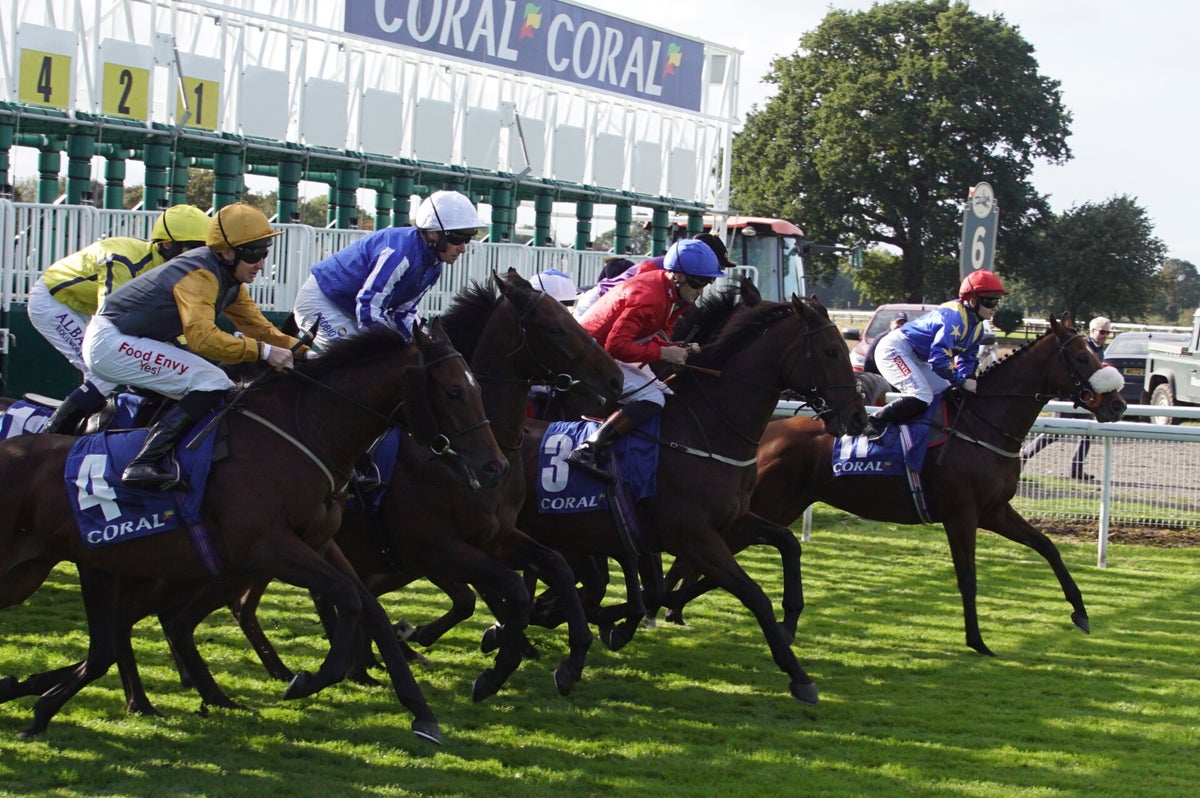 York Races, October 2023 / York Races 2023 / 2023 Galleries / Archive ...