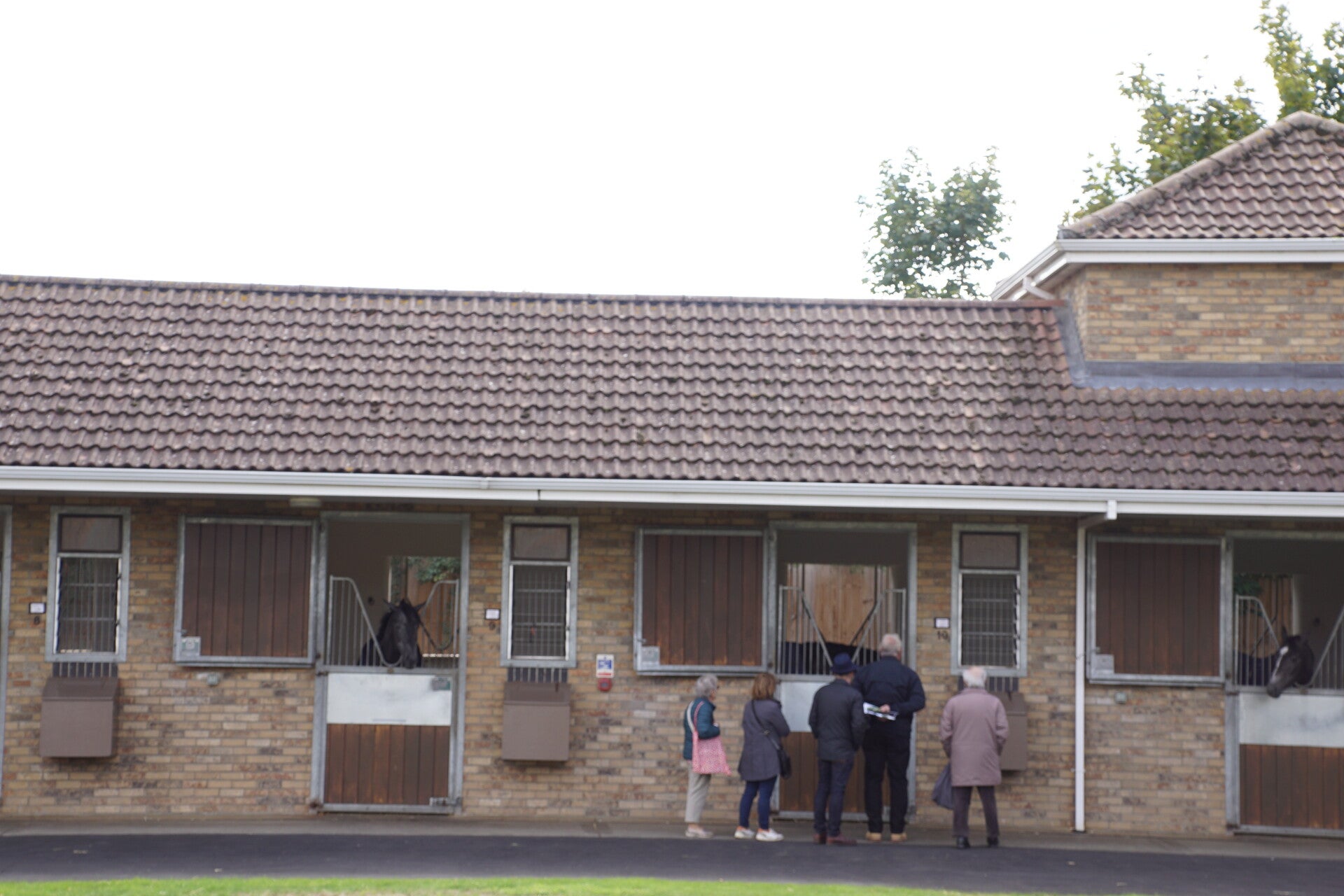 Ed & Simon Crisford Stable / Newmarket Open Weekend 2022 / 2022 Stable ...