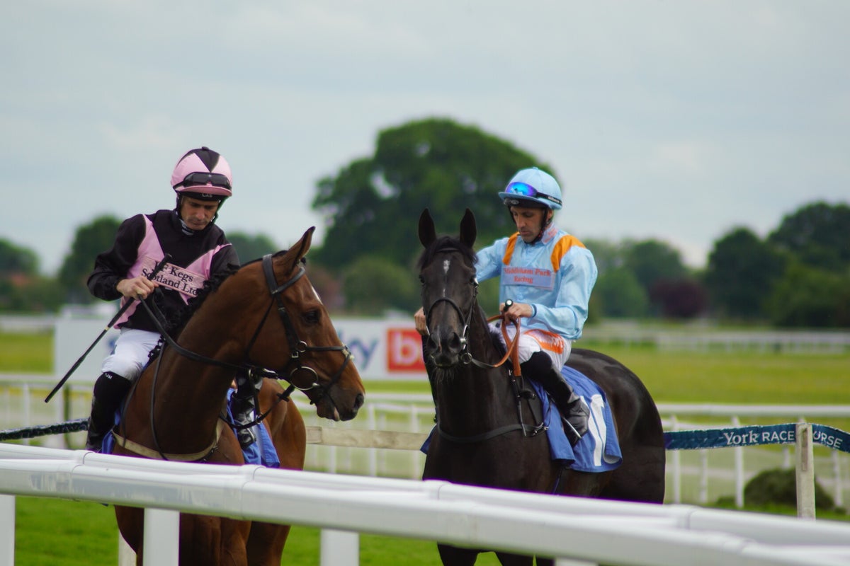 May Weekend Meeting / York Races, 2022 Season. / Archive | Rory Fraser ...