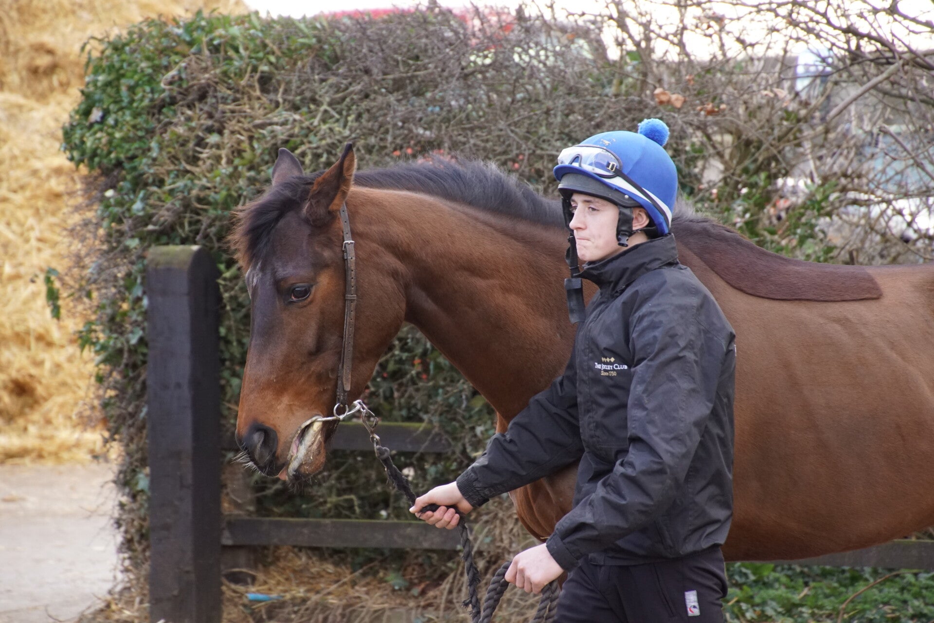 Roger Fell Stable Visit, February 2023 / 2023 Stable Visits / Stable ...