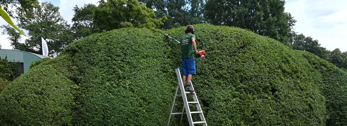 particuliere tuinen | Nick Peeters Tuinonderhoud