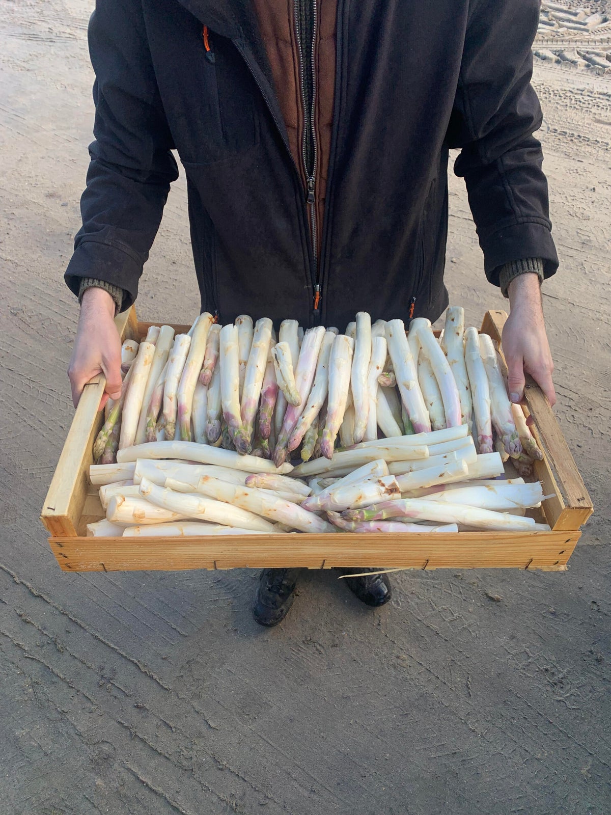 Nos premières asperges 2025 ! | Bonnan