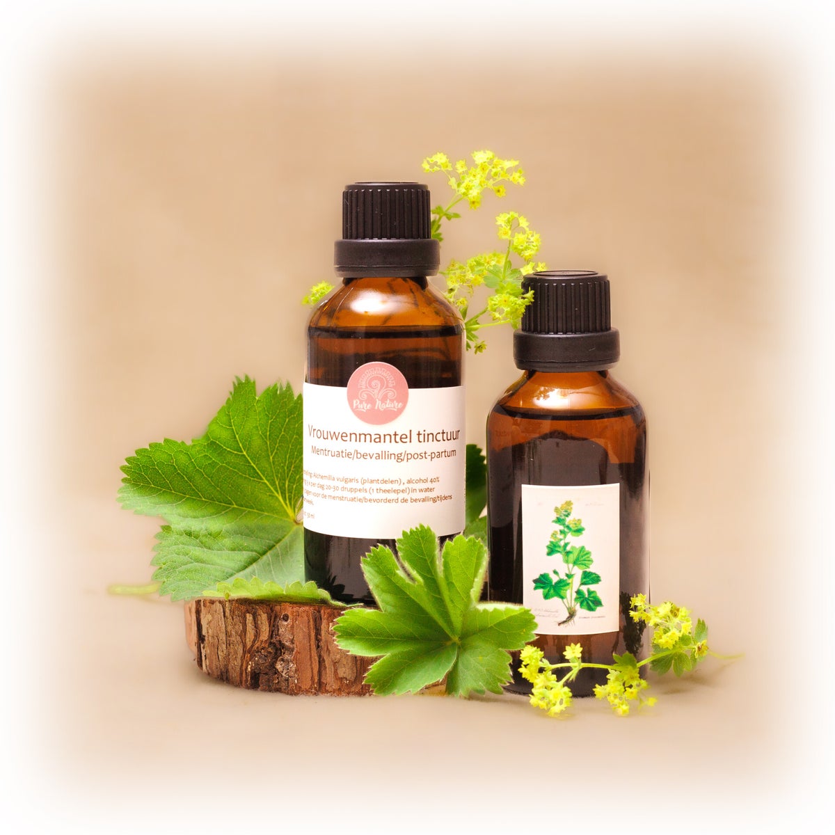 Vrouwenmantel-tinctuur 50 ml | Pure Nature By Suus