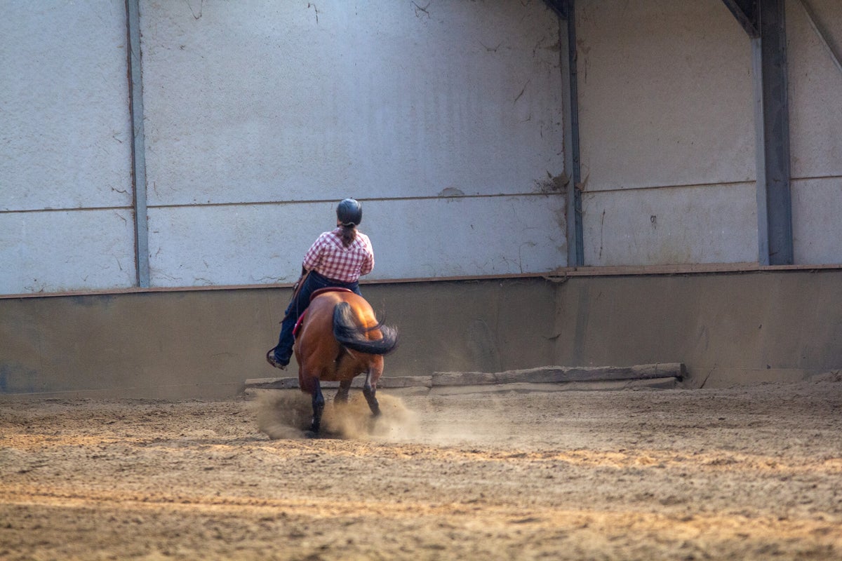 Foto's | Penta Western Stables