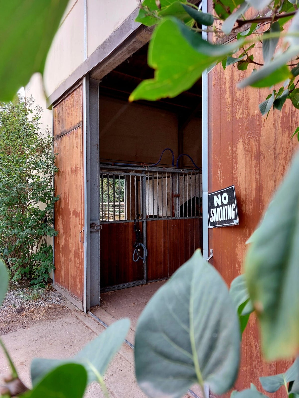 Foto's | Penta Western Stables