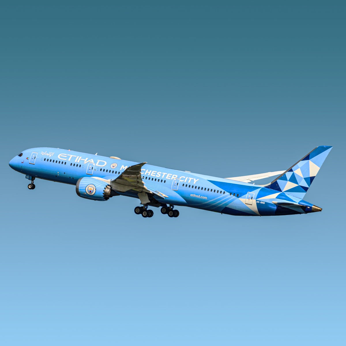 Top 10 aircraft liveries you must see / ︎ AVIATION FACTS (🇬🇧) / Blog ...