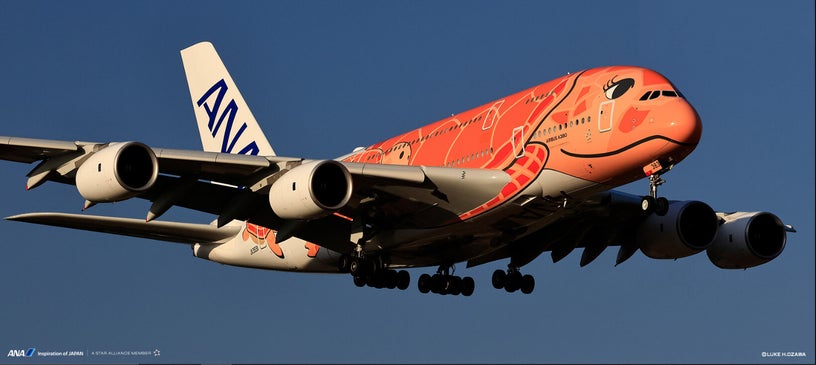 Top 10 aircraft liveries you must see / ︎ AVIATION FACTS (🇬🇧) / Blog ...