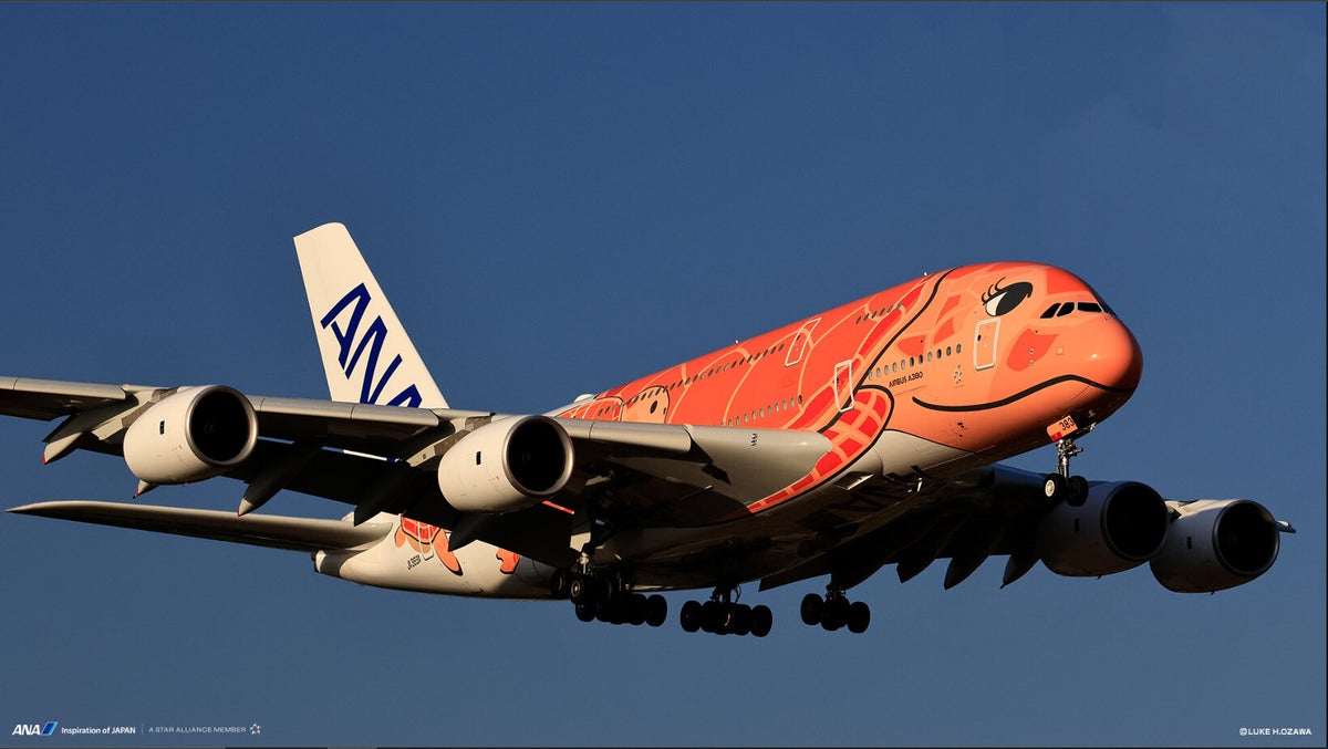 Top 10 aircraft liveries you must see / ︎ AVIATION FACTS (🇬🇧) / Blog ...