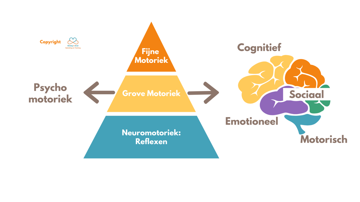 Psychomotorische Vaardigheden - wat zijn dat ? / Blogs | Opleiding ...