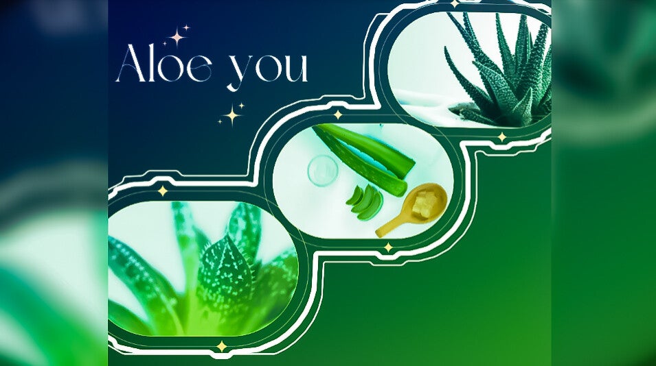 ALOE YOU STORE