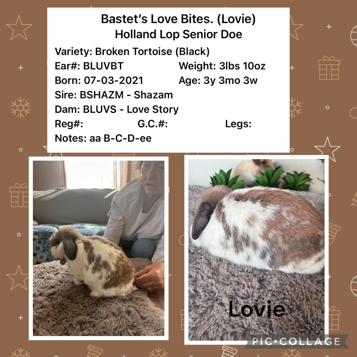 Our Story | B&S Rabbitry