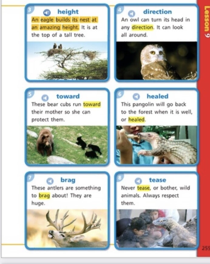 Lesson 9 - “How Chipmunk Got His Stripes” / Journeys - stories ...