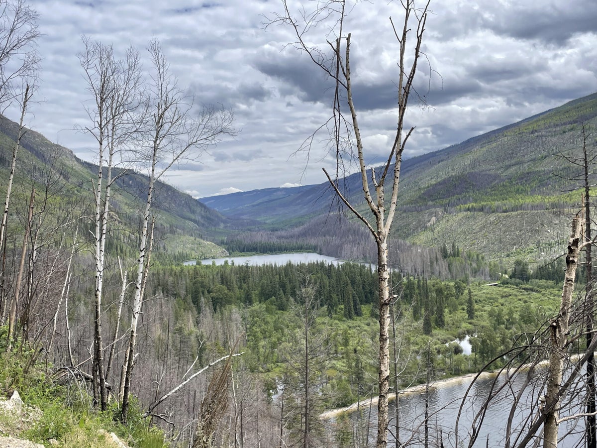 Chase: North Shuswap / Ride List | The Gravel Cyclist's Guide to ...