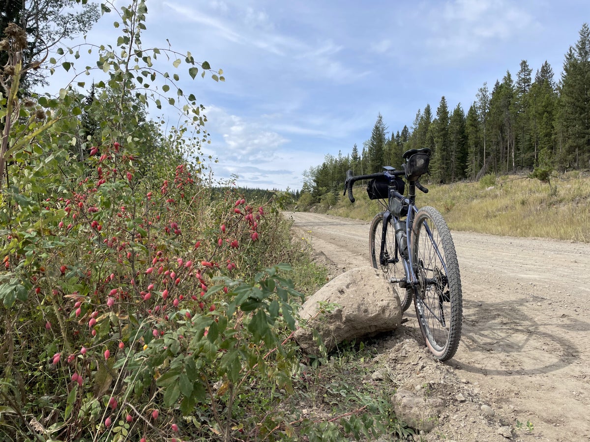 100 Mile House: Moose Valley / Ride List | The Gravel Cyclist's Guide ...