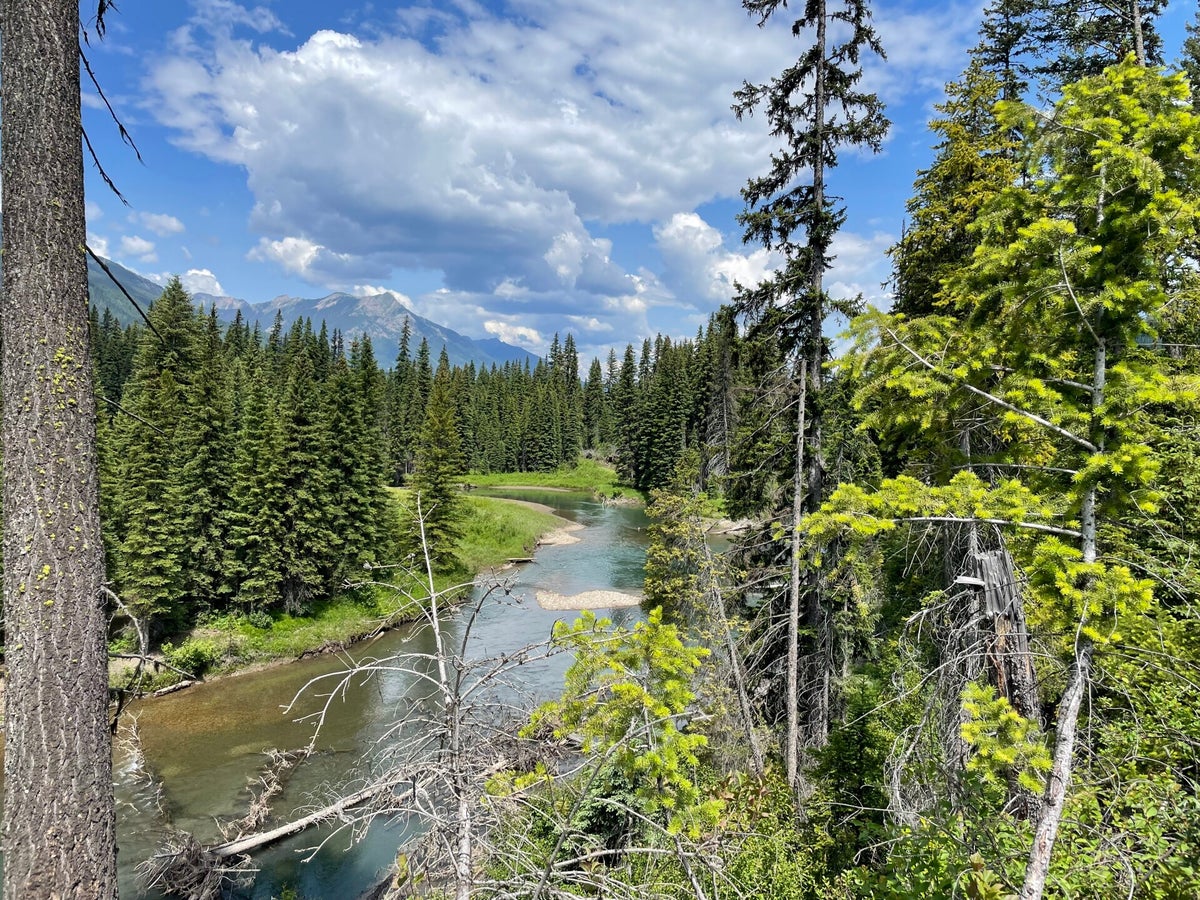 Fernie: Elk Valley / Ride List | The Gravel Cyclist's Guide to British ...