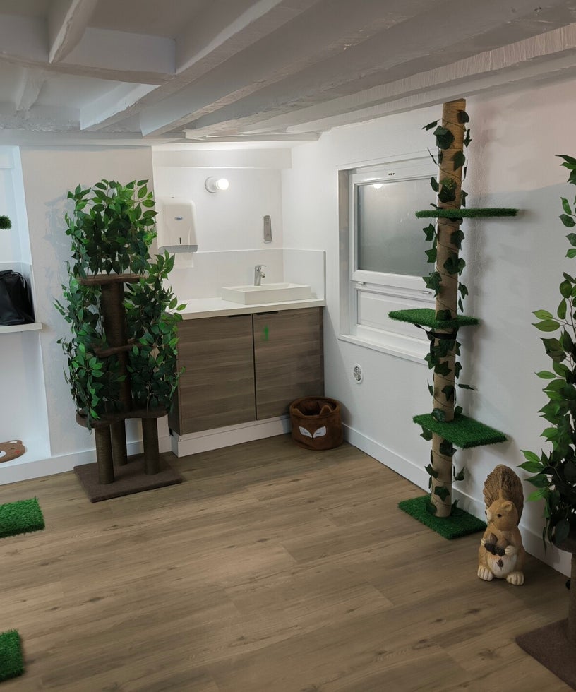 Le Chatelier - Bar à chats et Hôtel pour chats