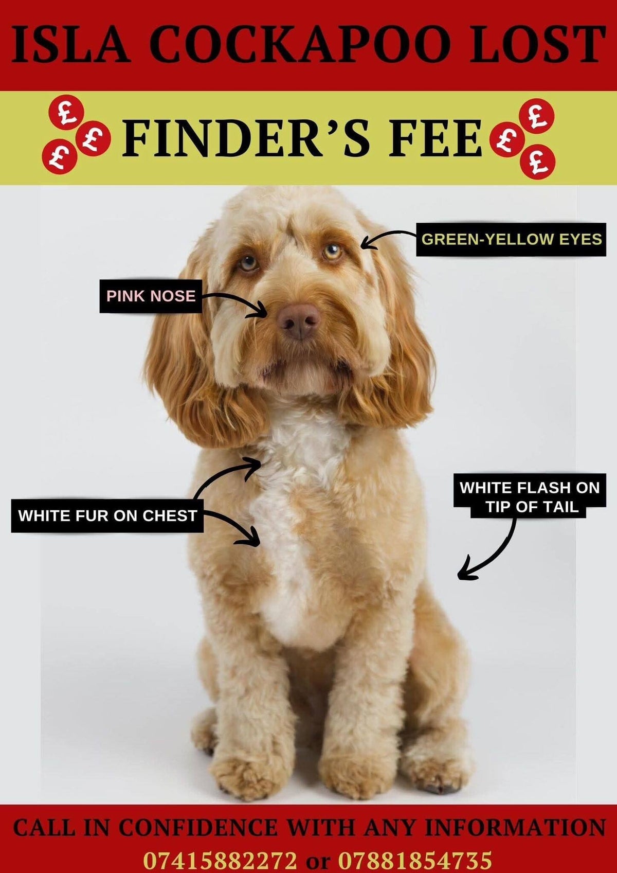 ISLA (COCKERPOO) / CURRENT E-I DOG CASES | MUDDY PAWS CRIME UK & IRELAND