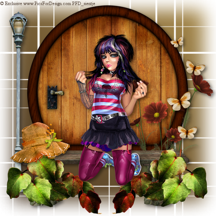 scrap lessen / Psp lessen | psp-met-sientje