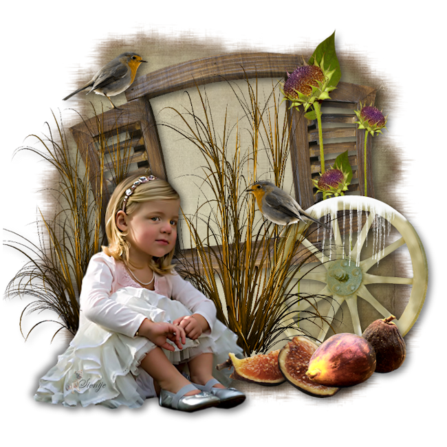 Autumn Frost / Psp lessen | psp-met-sientje