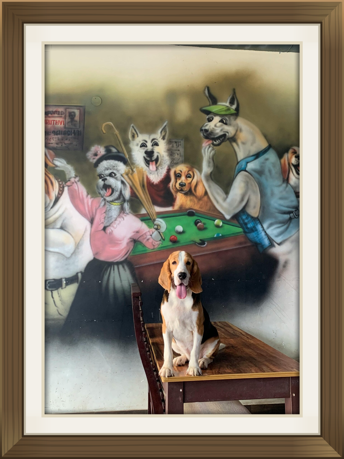 About Us | Bark & Brew at EFSC