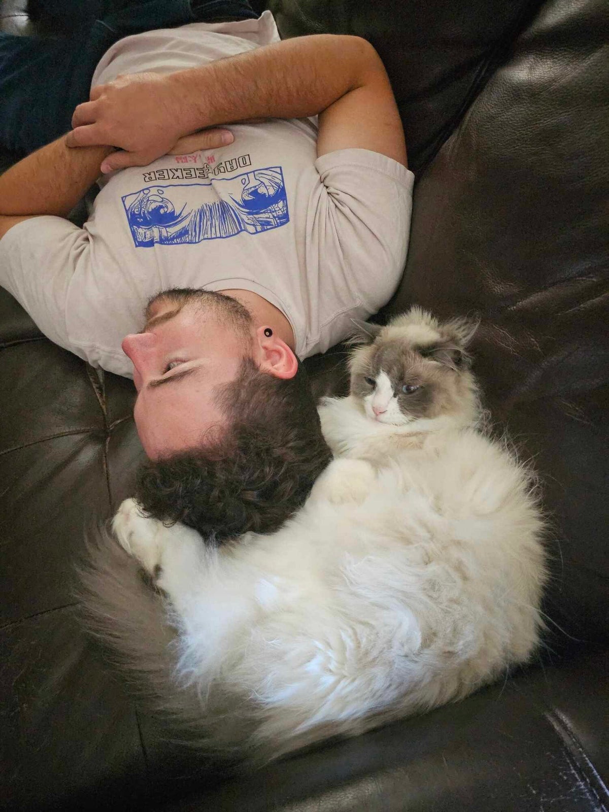 " RAGDOLL MOMENTS " | Angel Eyes Ragdolls