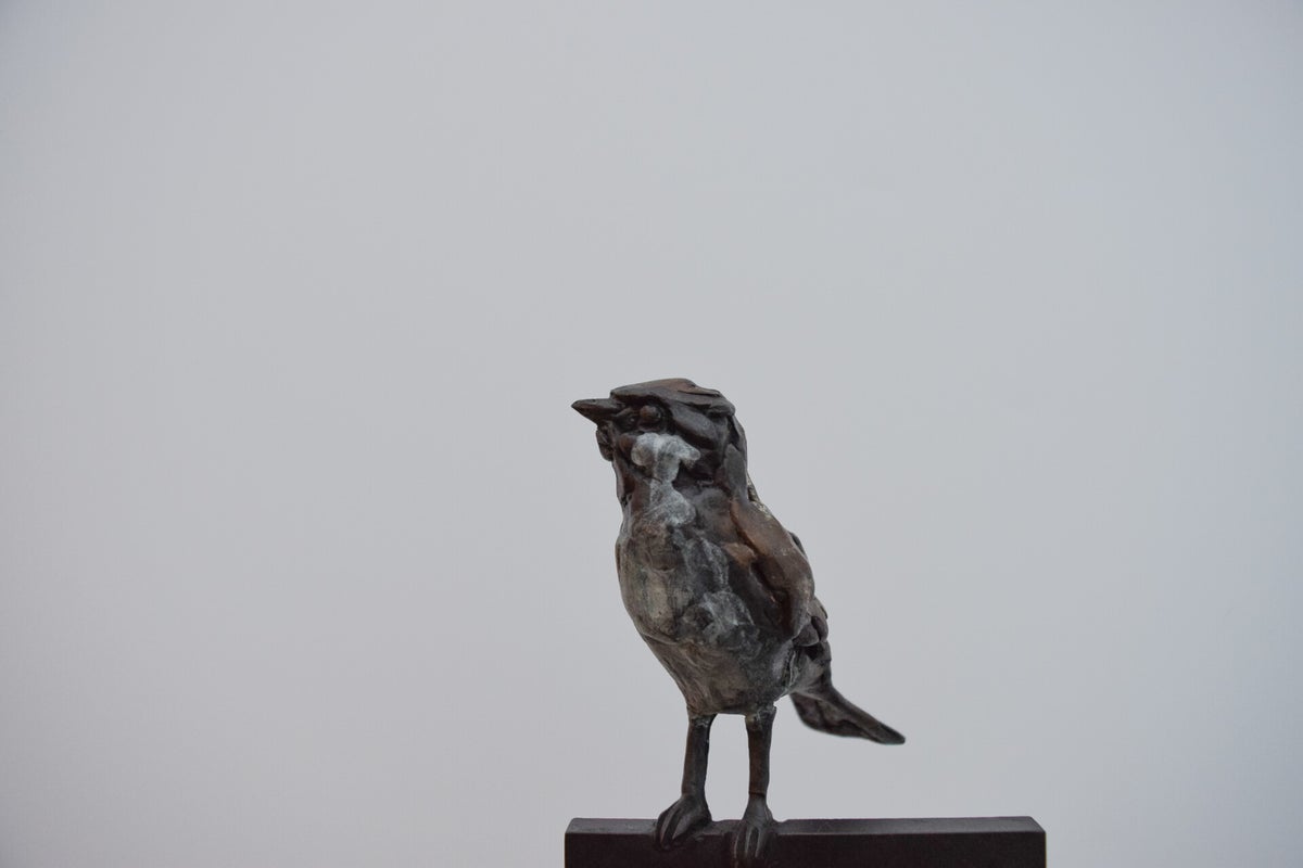 Mus | Galerie het Cleyne Huys