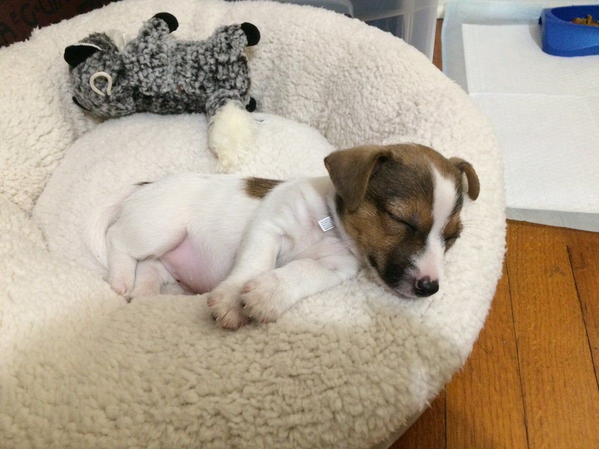 RRR Blog | Prince Jack