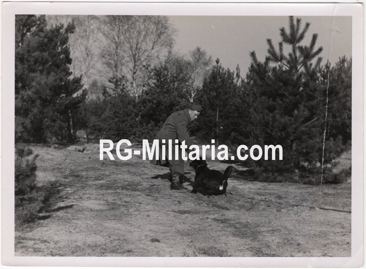 Original WW2 German Waffen SS Press Photo - Army Dog Training
