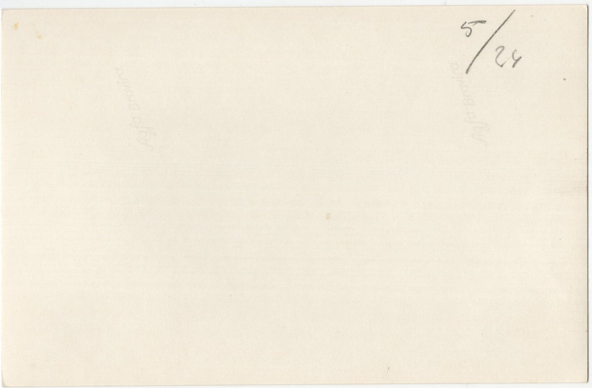 Original WW2 Dutch Liberation Photo - 49th West Riding division Polar ...