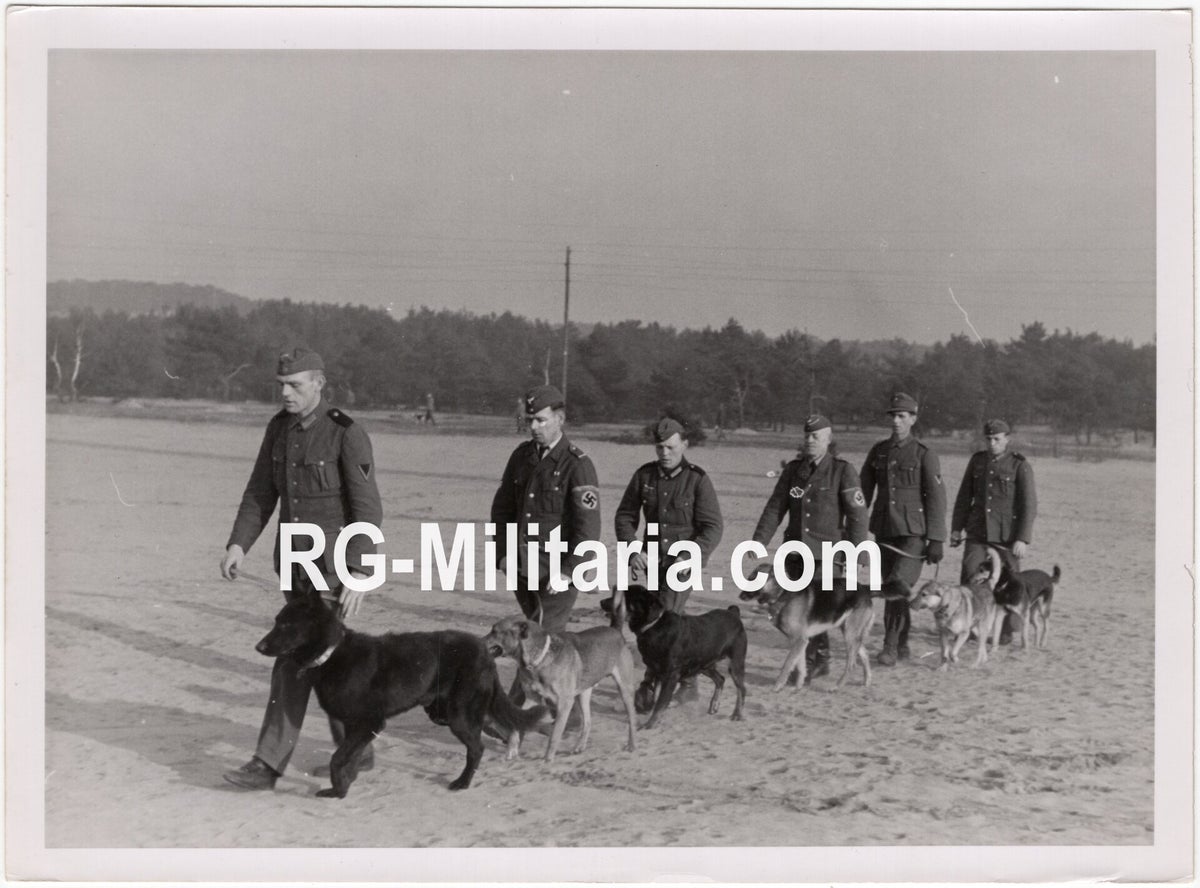 Original WW2 German Waffen SS Press Photo - Army Dog Training 3
