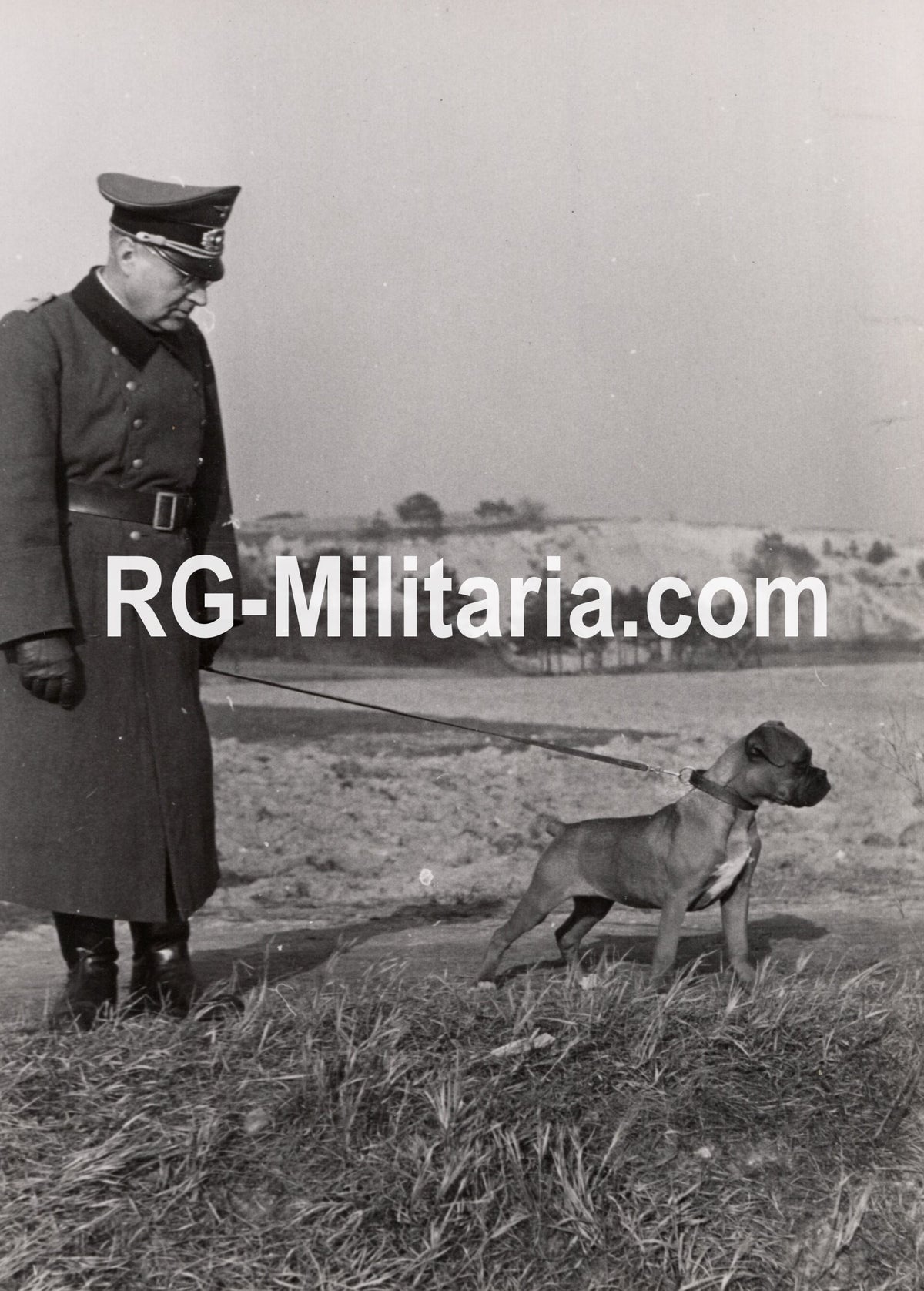Original WW2 German Waffen SS Press Photo - Army dog training on a leash