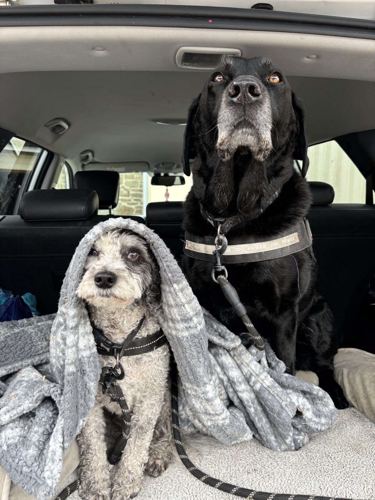 Livery | Deep hatches farm shepards huts