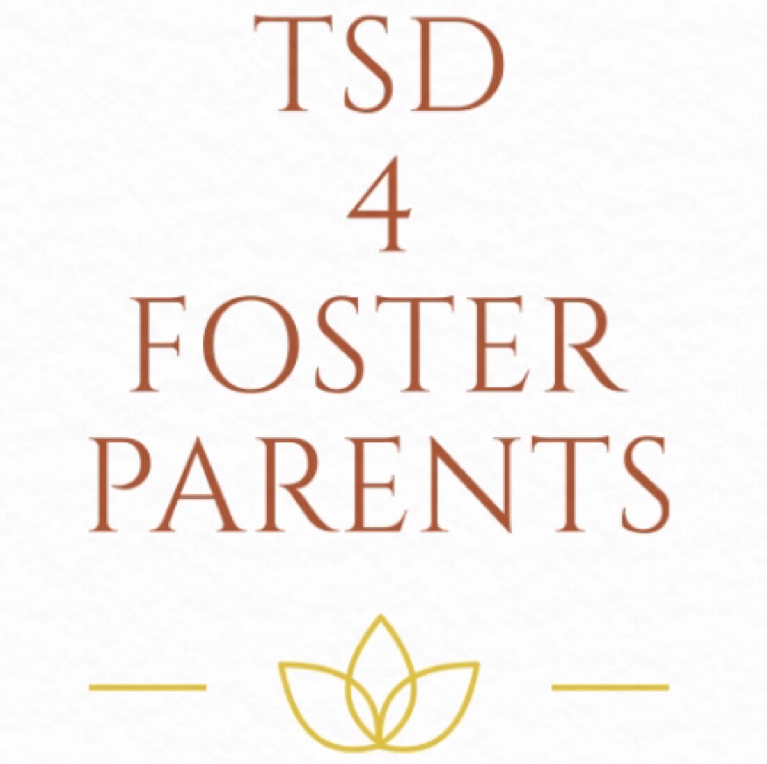 TSD 4 Foster Carers | TSD Workbook Templates & Support